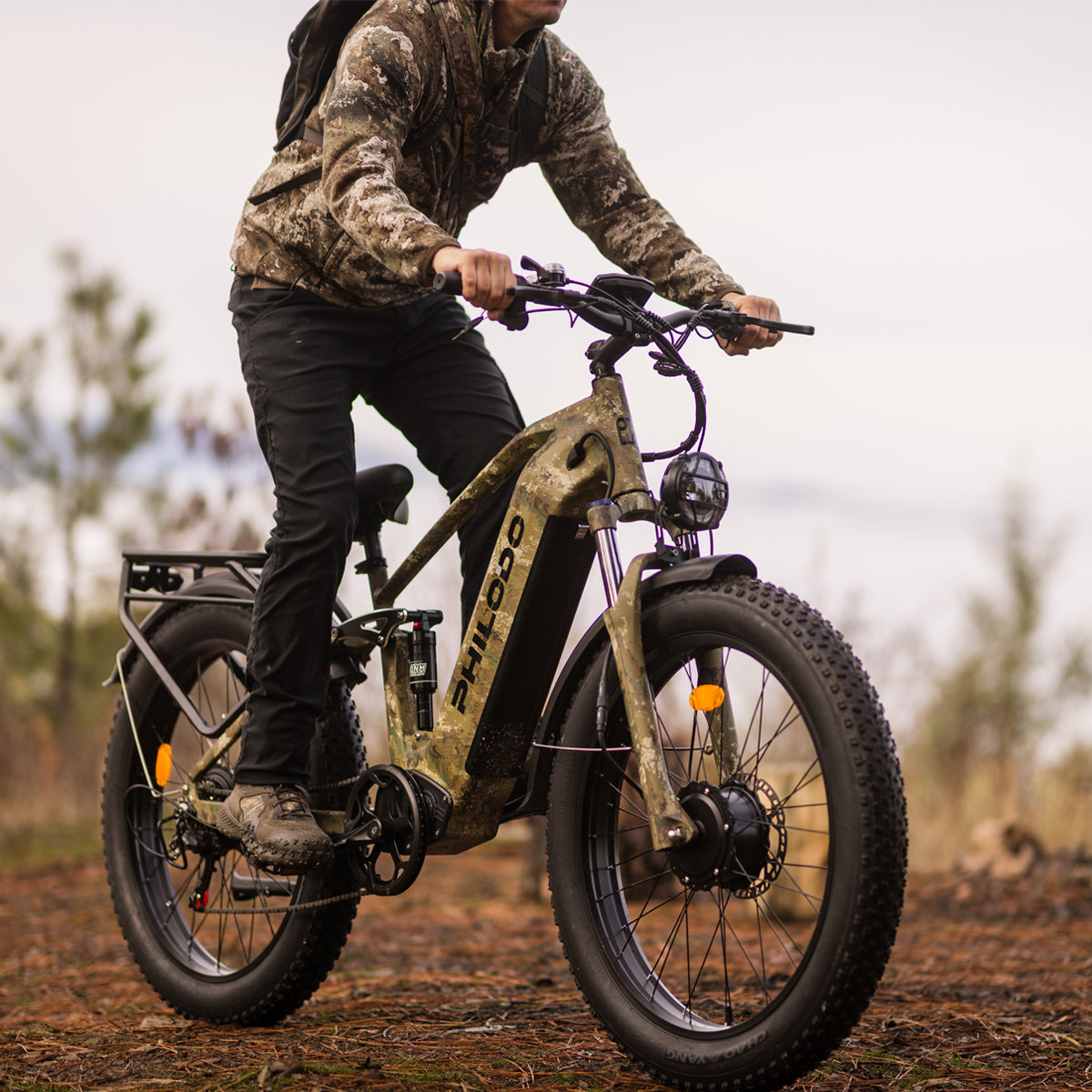 PHILODO FALCON Step-Thru 60V Dual Motor Electric Bike – PHILODO BIKES